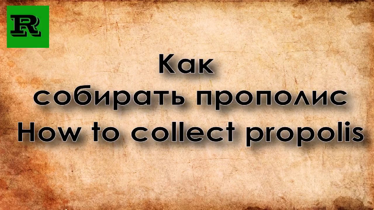Как собирать прополис (How to collect propolis). - YouTube