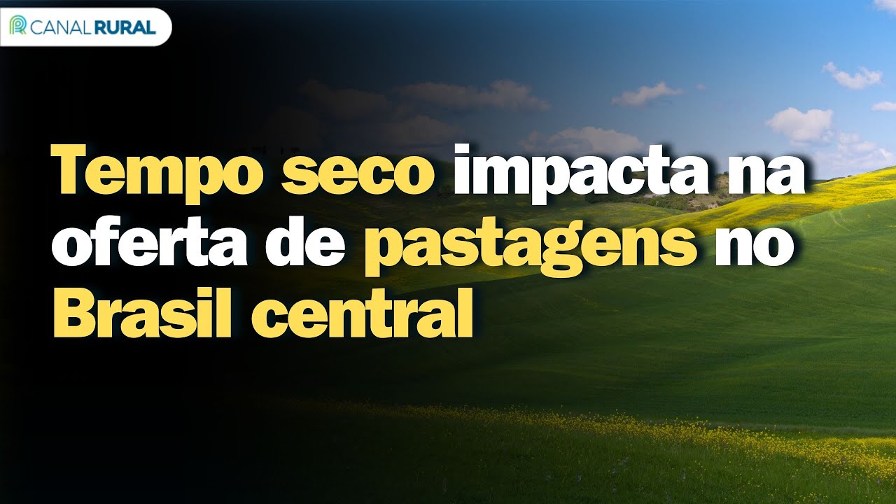 Previsão do tempo | Tempo seco impacta na oferta de pastagens no Brasil ...