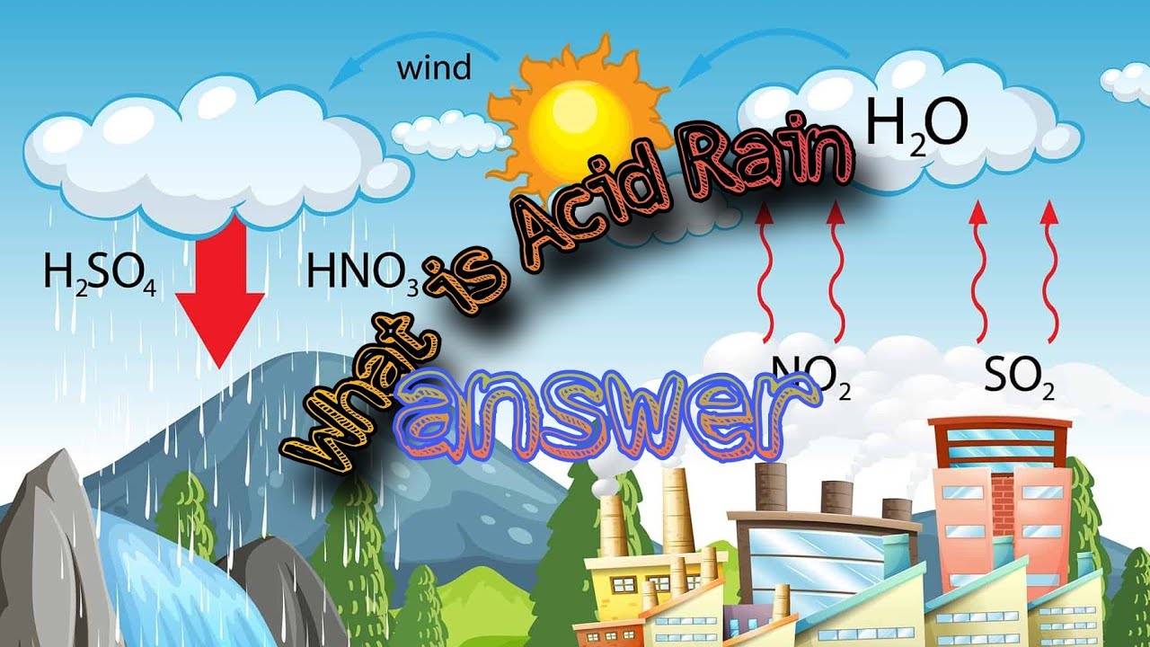 what is acid rain//Question and Answer// - YouTube