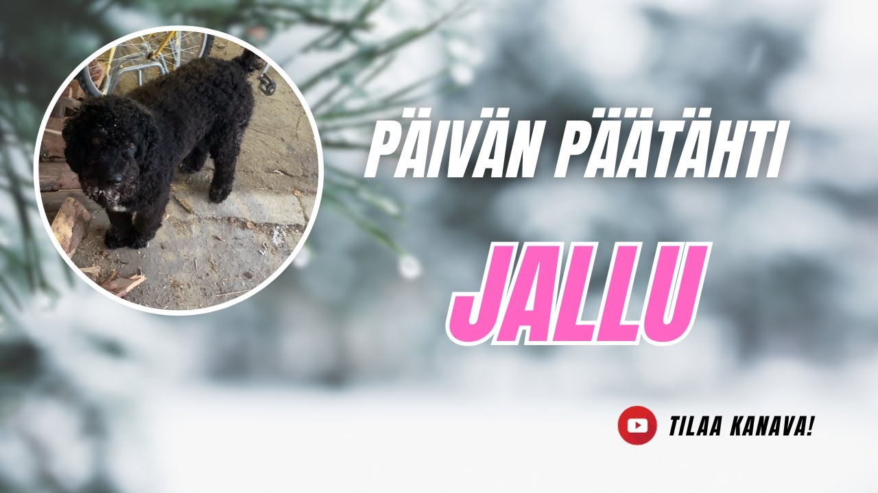 Jallu - YouTube