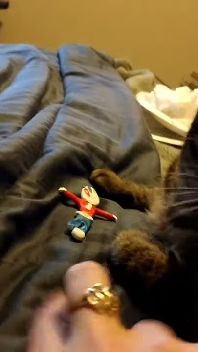 Oh no Mr. Bill! - YouTube