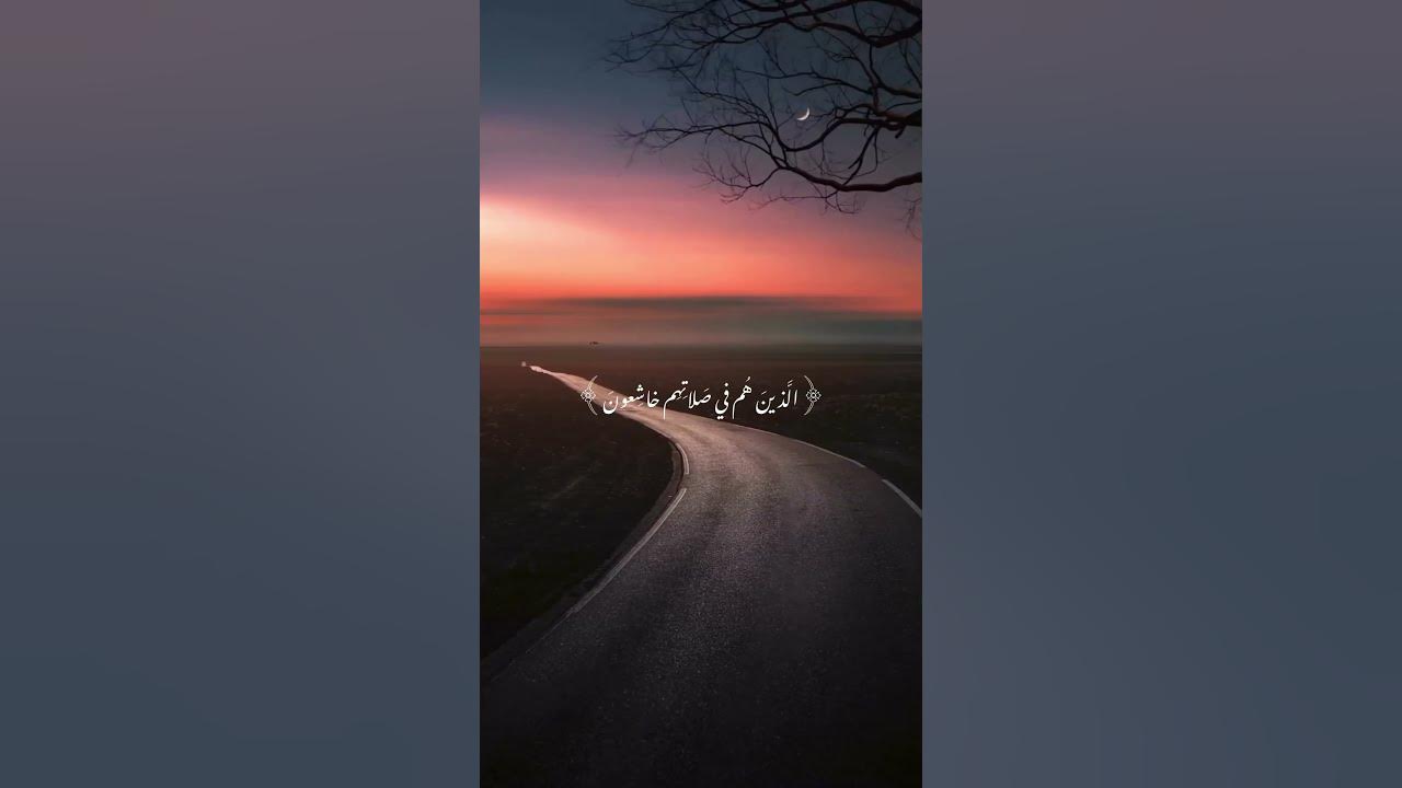 ﴿الَّذينَ هُم في صَلاتِهِم خاشِعونَ﴾ اكسبلور القران محمد صديق