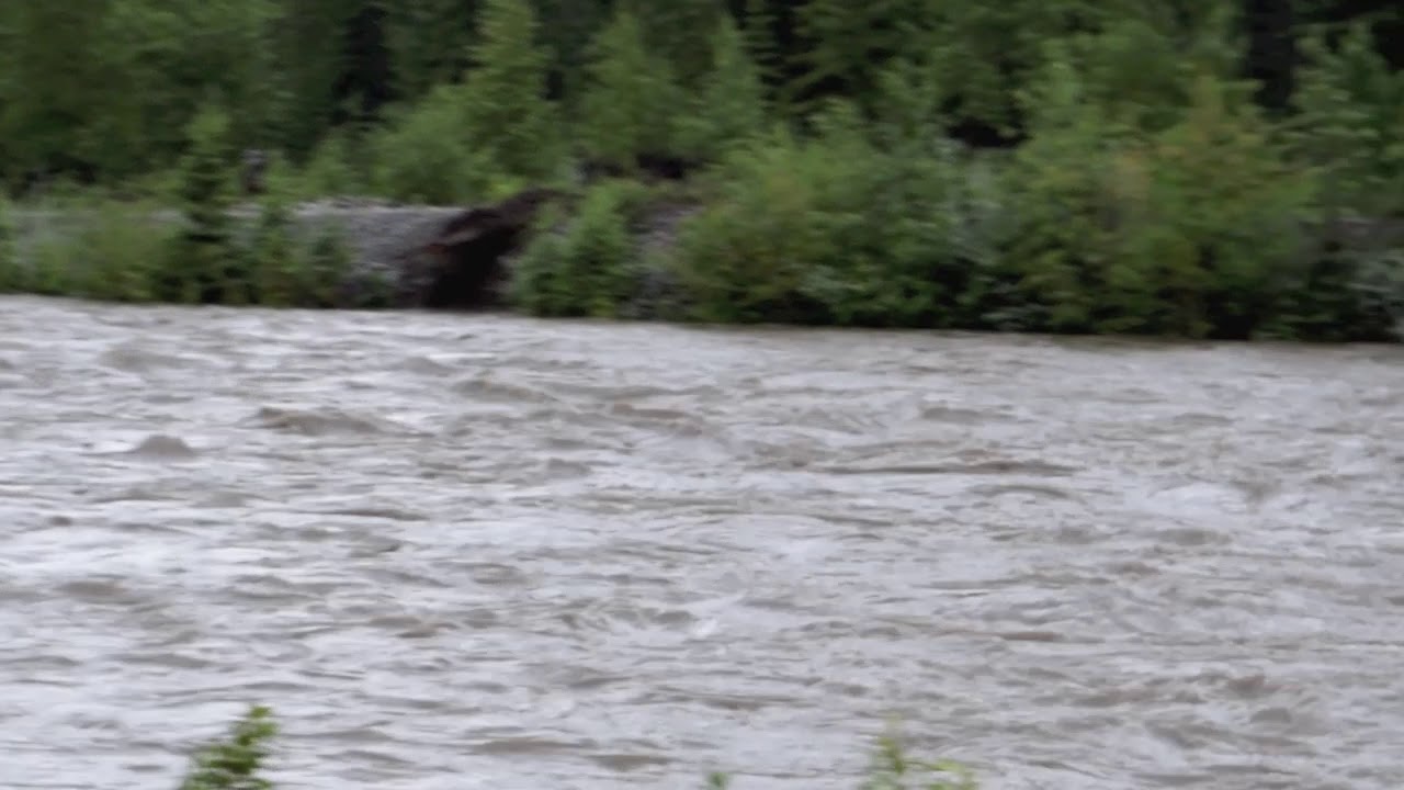 Elbow River High Water June 21, 2019. - YouTube