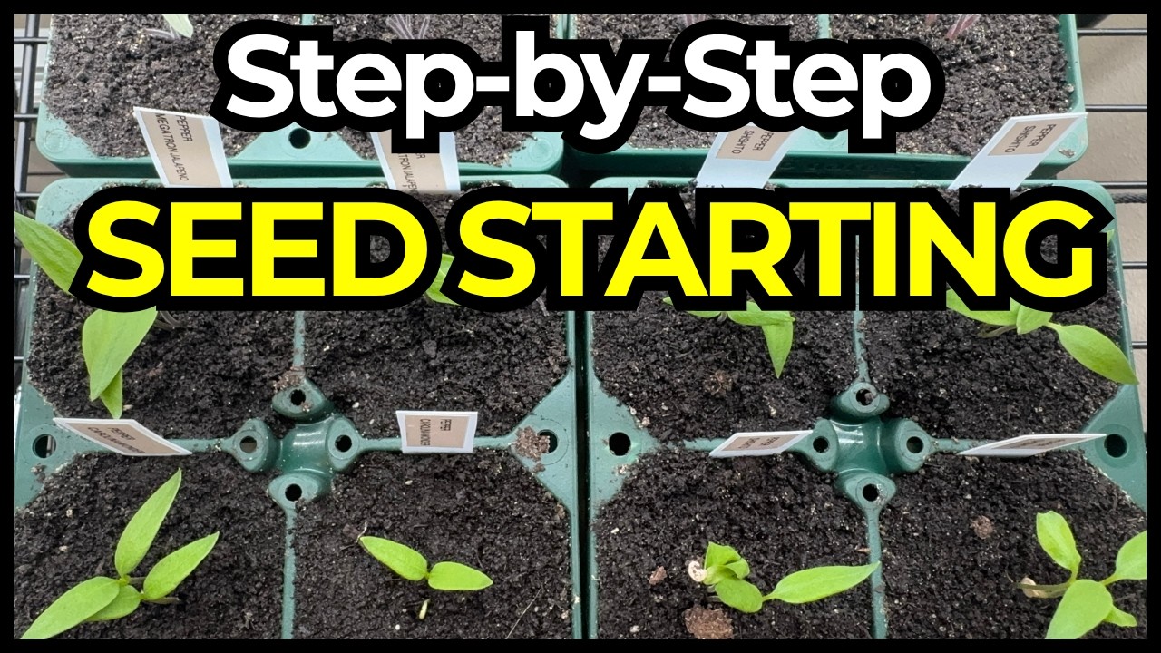 Learn Seed Starting Step-by-Step in Under 10 Minutes - YouTube