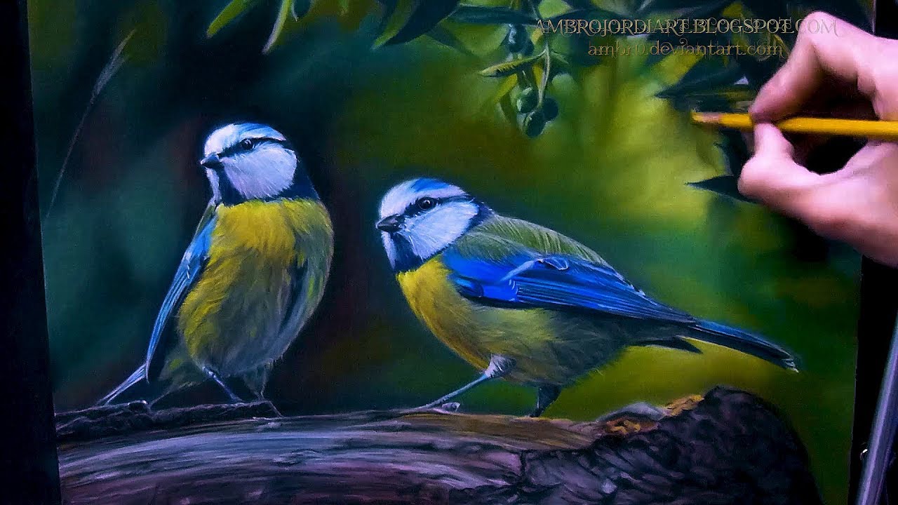 Drawing Blue Tits with Pastel #Ambrojordiart - YouTube