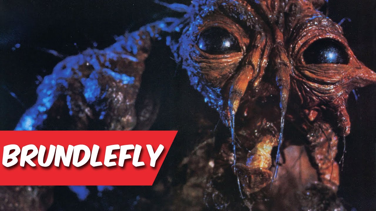 Brundlefly | Monsters - YouTube