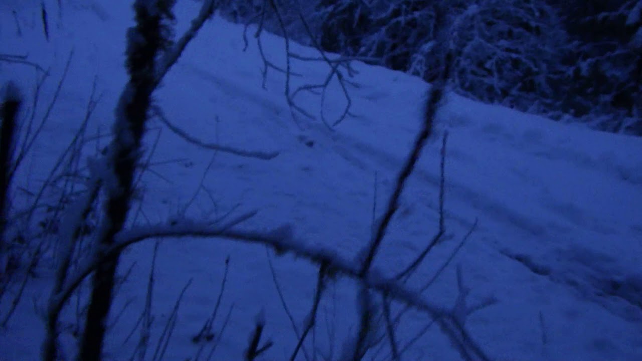 Episode 2L dark scary trees everywhere heavy snow Christmas tree Winter ...
