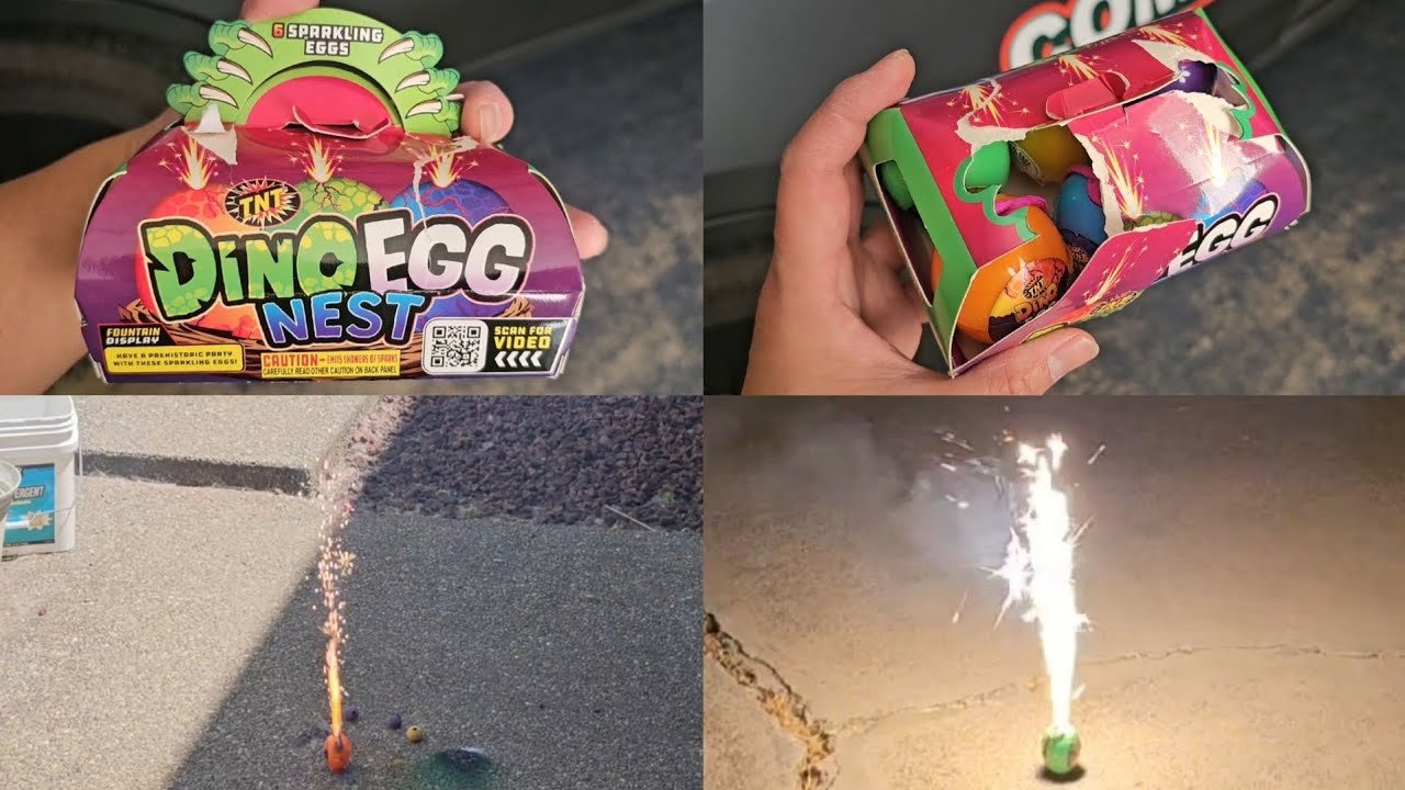 TNT DINO EGG NEST Firework Disappointing All Fountains are the Same ...
