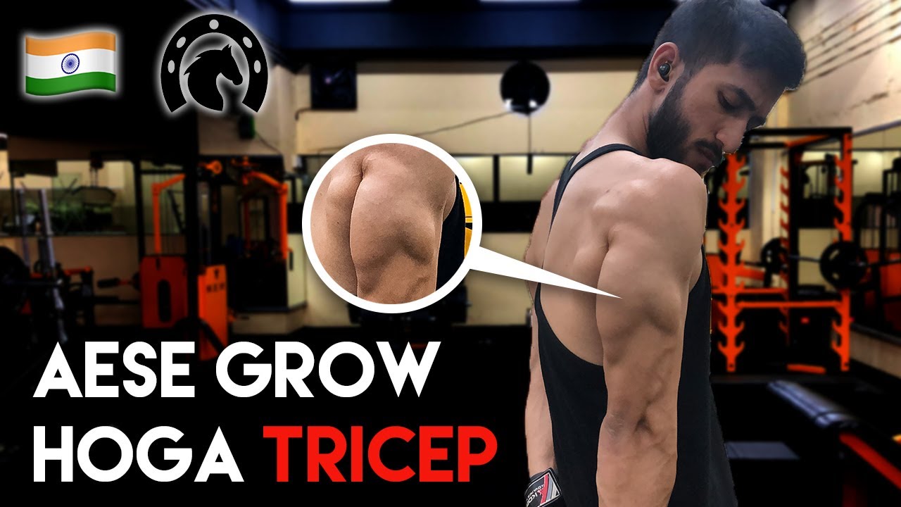 How To Build Horseshoe Triceps | Science Based Exercises Included 🔥 🔥 ...
