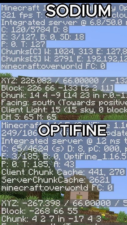 OPTIFINE VS SODIUM........... #minecraft - YouTube