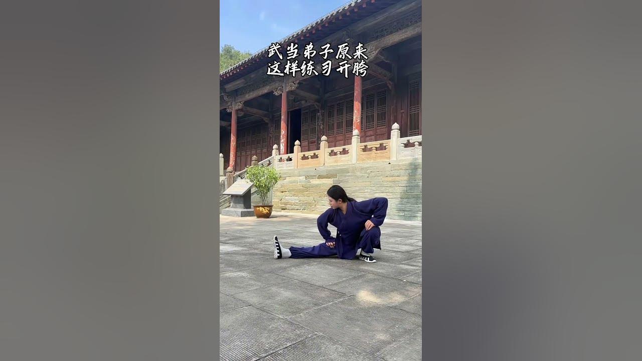 【武侠梦】我平常都是这样开胯啊，一天练习20次武当武术开胯 拉伸 练功 古法健身【kungfudream】taichi Tutorial 太极拳 功夫 Taichi 武当