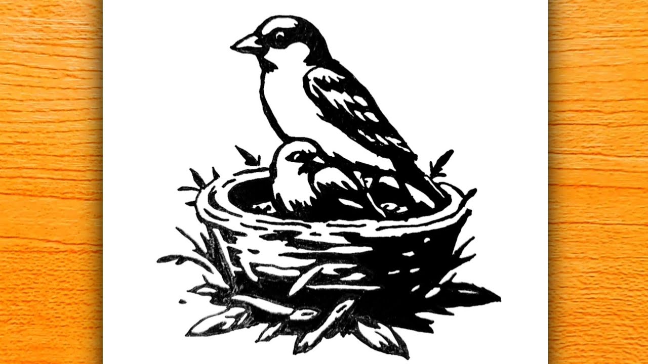 Easy Bird Nest Drawing | How to Draw Birds in a Nest Step by Step - YouTube
