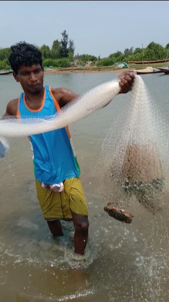 Amazing Big Cast Net Fishing Tradtional - YouTube