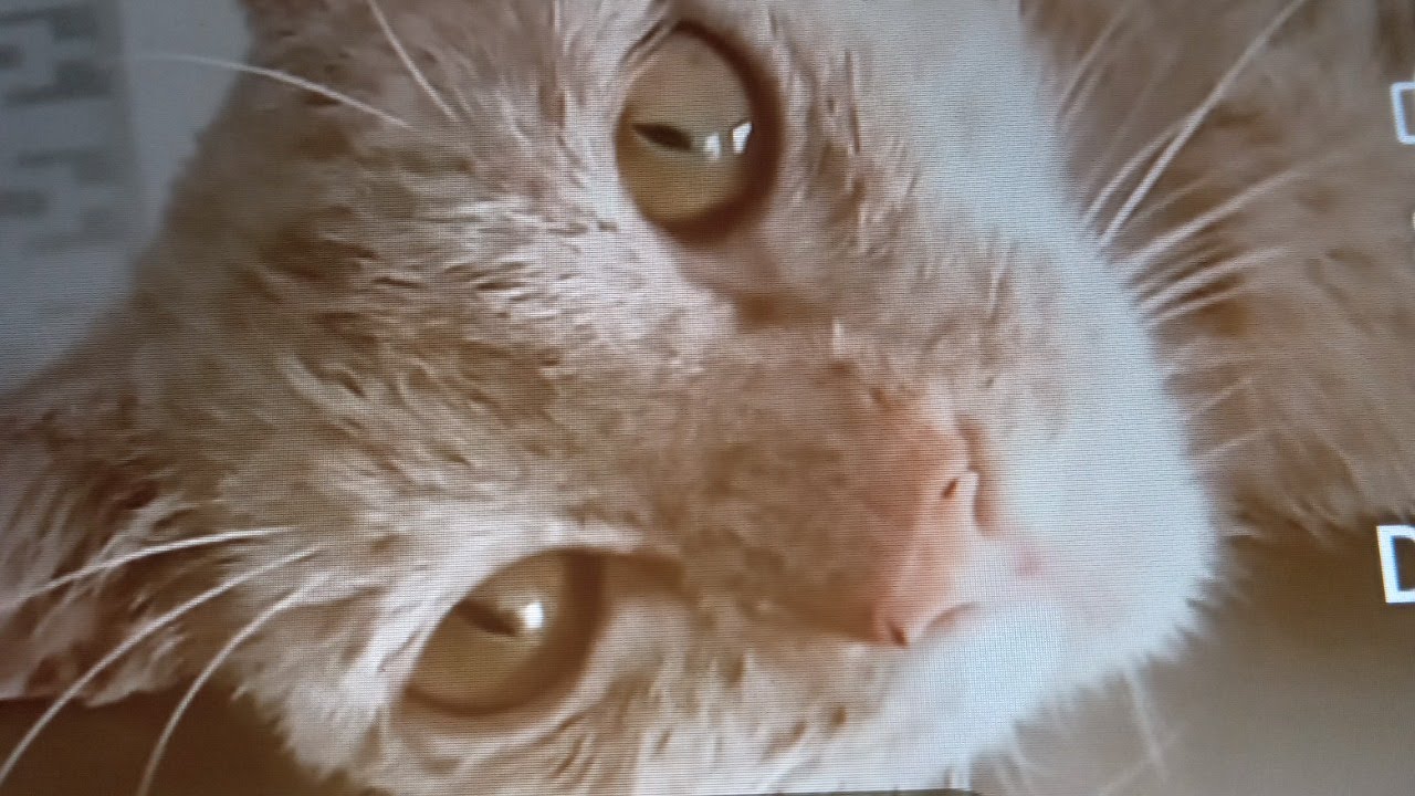 RED MY RED FOREVER AMEN - YouTube