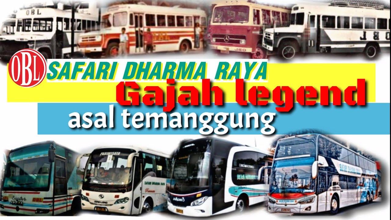 Sejarah dan perjalanan PO bus safari dharma raya (OBL) | PO Bus tertua ...