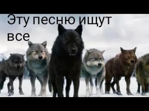 Лай - Лай ❤Новый ХИТ 2018