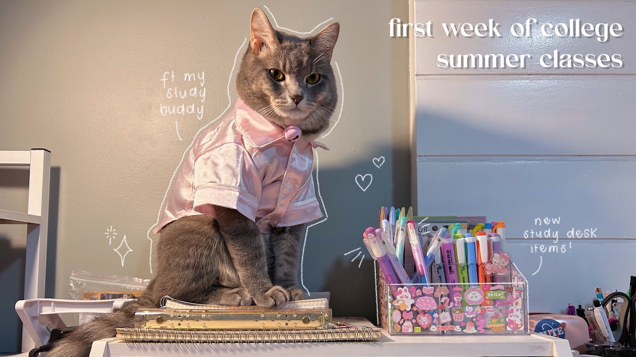 FIRST WEEK — COLLEGE SUMMER CLASSES! come study with me ⋆·˚ ༘ * - YouTube