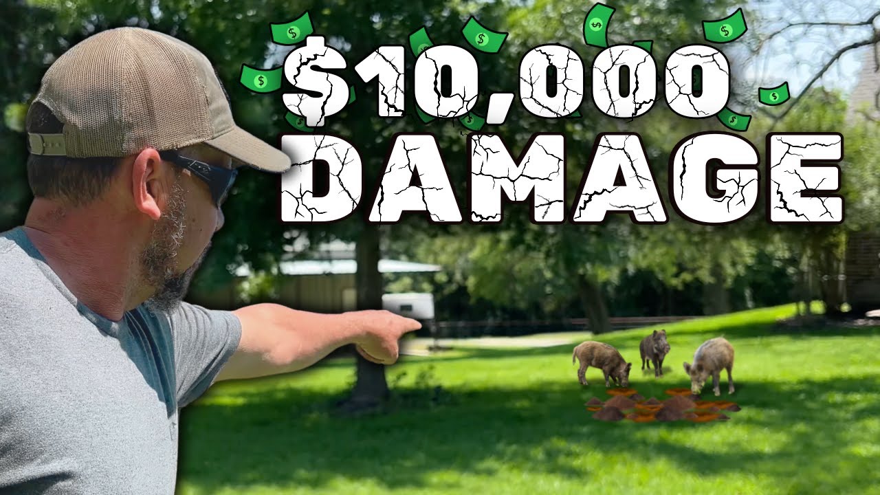 🤯$10,000k IN HOG DAMAGE!! | Land & Crop Protection - YouTube