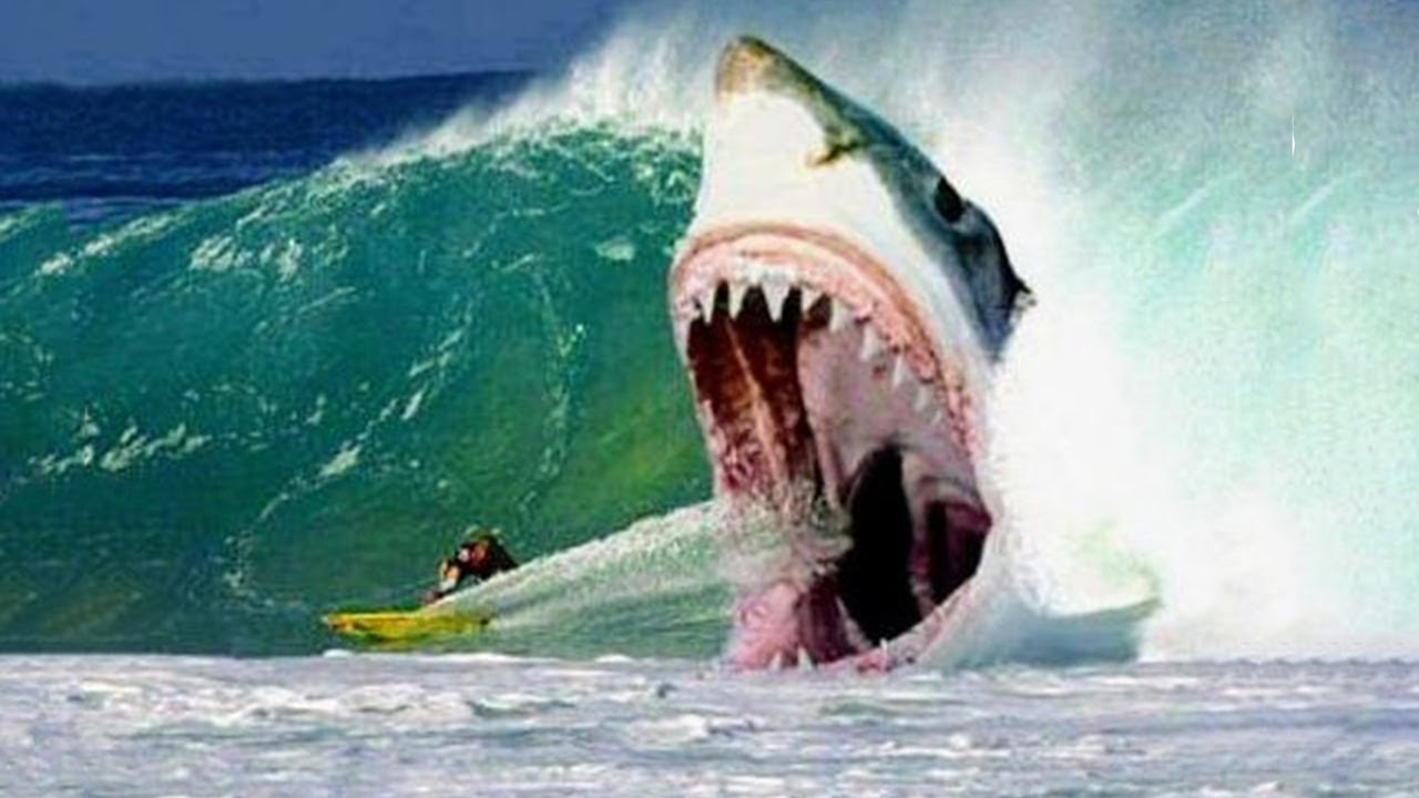 REAL Megalodon Evidence Found Throughout History - YouTube