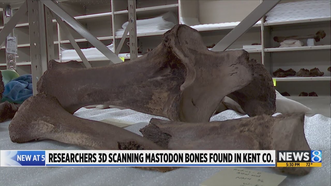 Researchers work to scan mastodon bones found in Kent County - YouTube