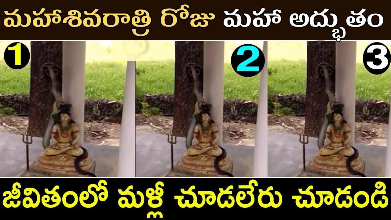 Miracle Happened On Mahashivaratri | Lord Shiva Live Miracles In ...