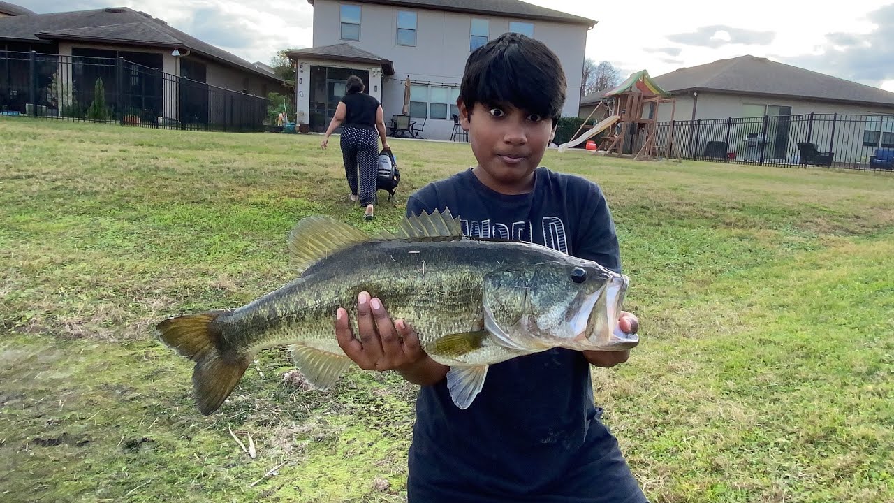 Caught a 14 pound Largemouth Bass - YouTube