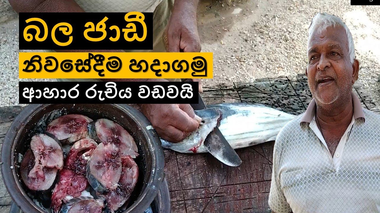 බල ජාඩී | ජාඩී දැමීම | bala jadi | salted fish - YouTube