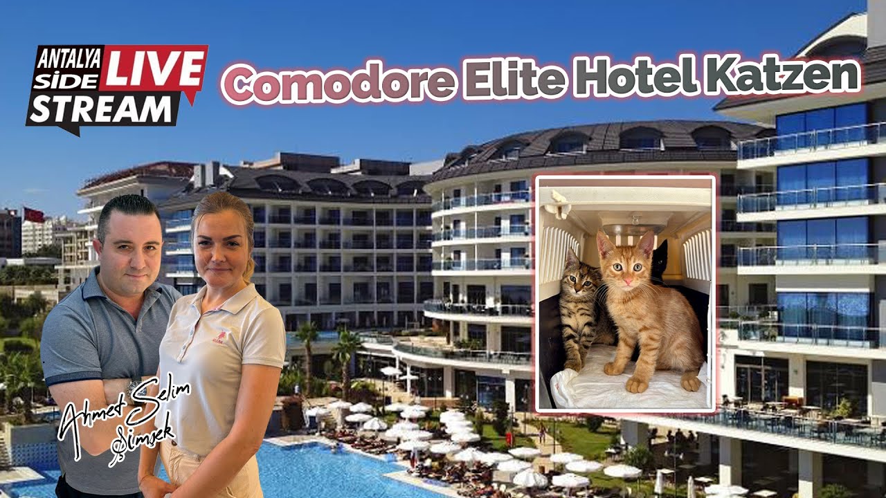 Comodore Elite Hotel Katzen. - YouTube