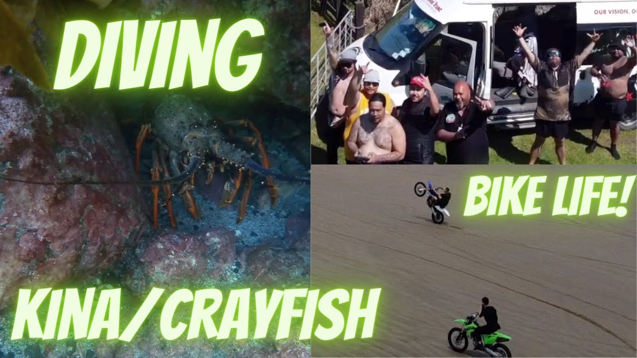 Diving For Kina And Crayfish - YouTube