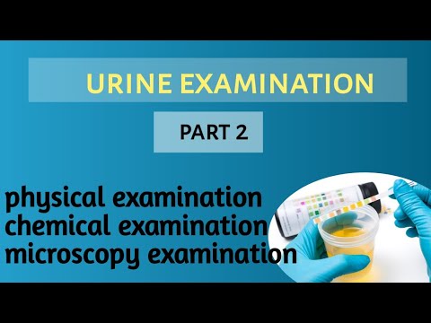 urine examination/ physical/ chemical/ microscopy/ urine test - YouTube