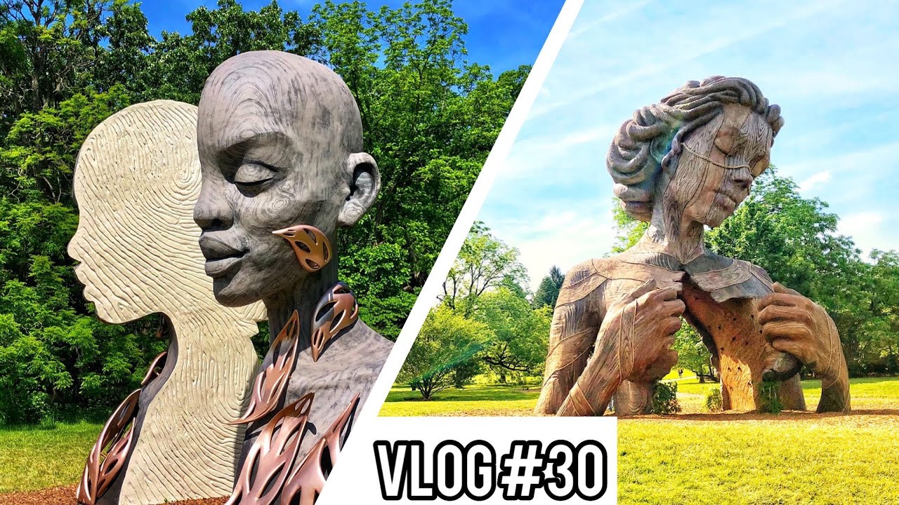 The Morton Arboretum | Human + Nature Exhibit - YouTube