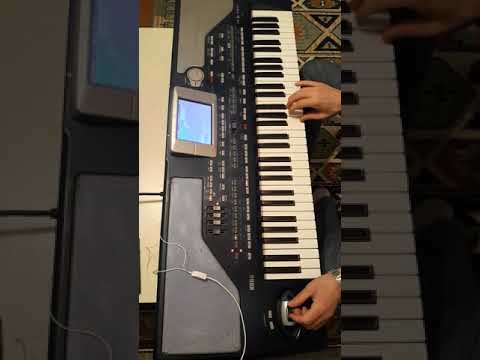 korg pa800