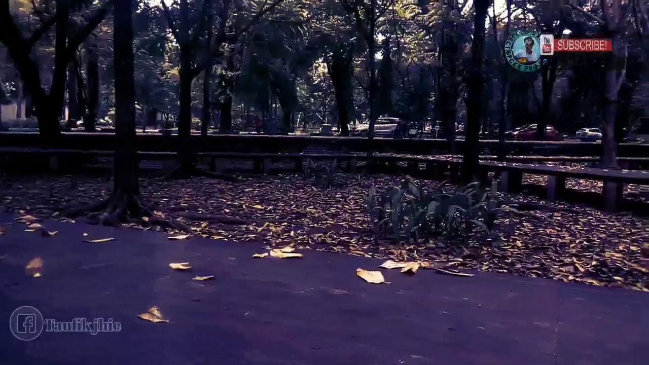 Vlog pertama ku go to UNHAS (#Taman UNHAS) - YouTube
