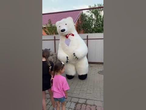Мишка вновь танцует зажигательные танцы - YouTube