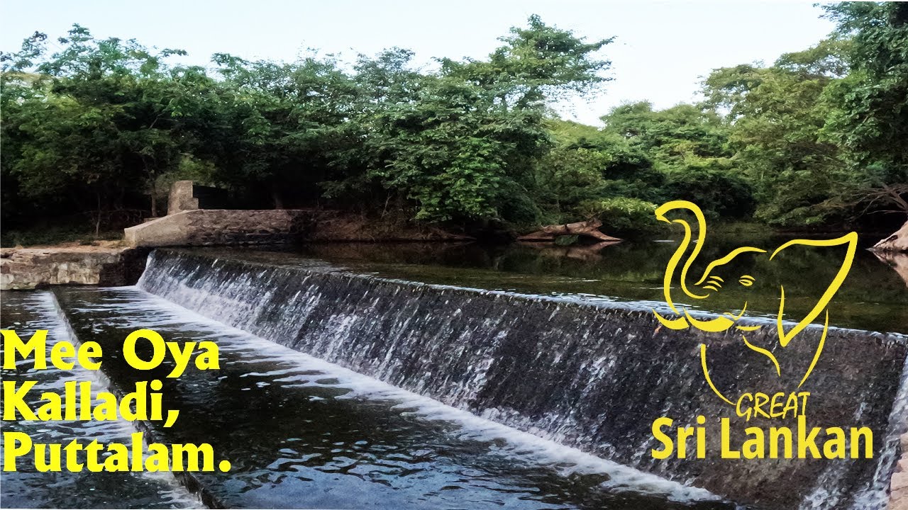 Mee Oya ,Great Sri lankan - YouTube