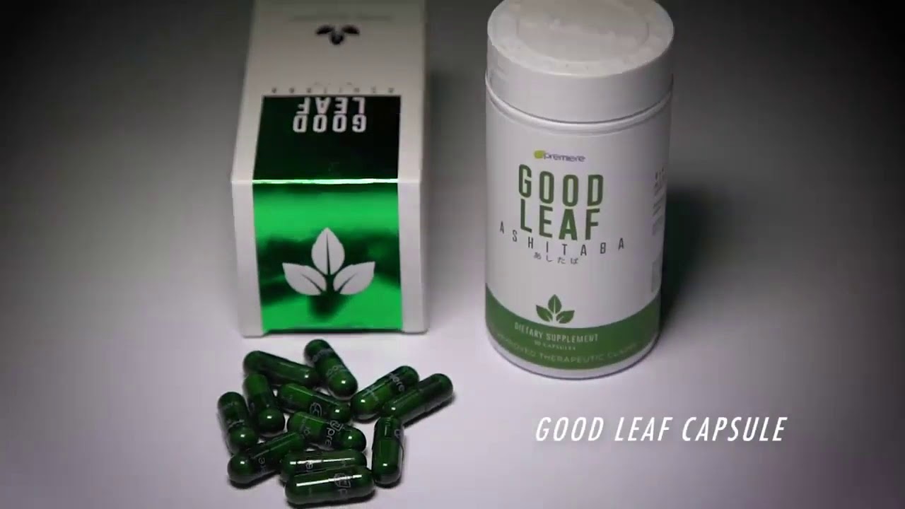 Good Leaf Ashitaba Product Lines - YouTube