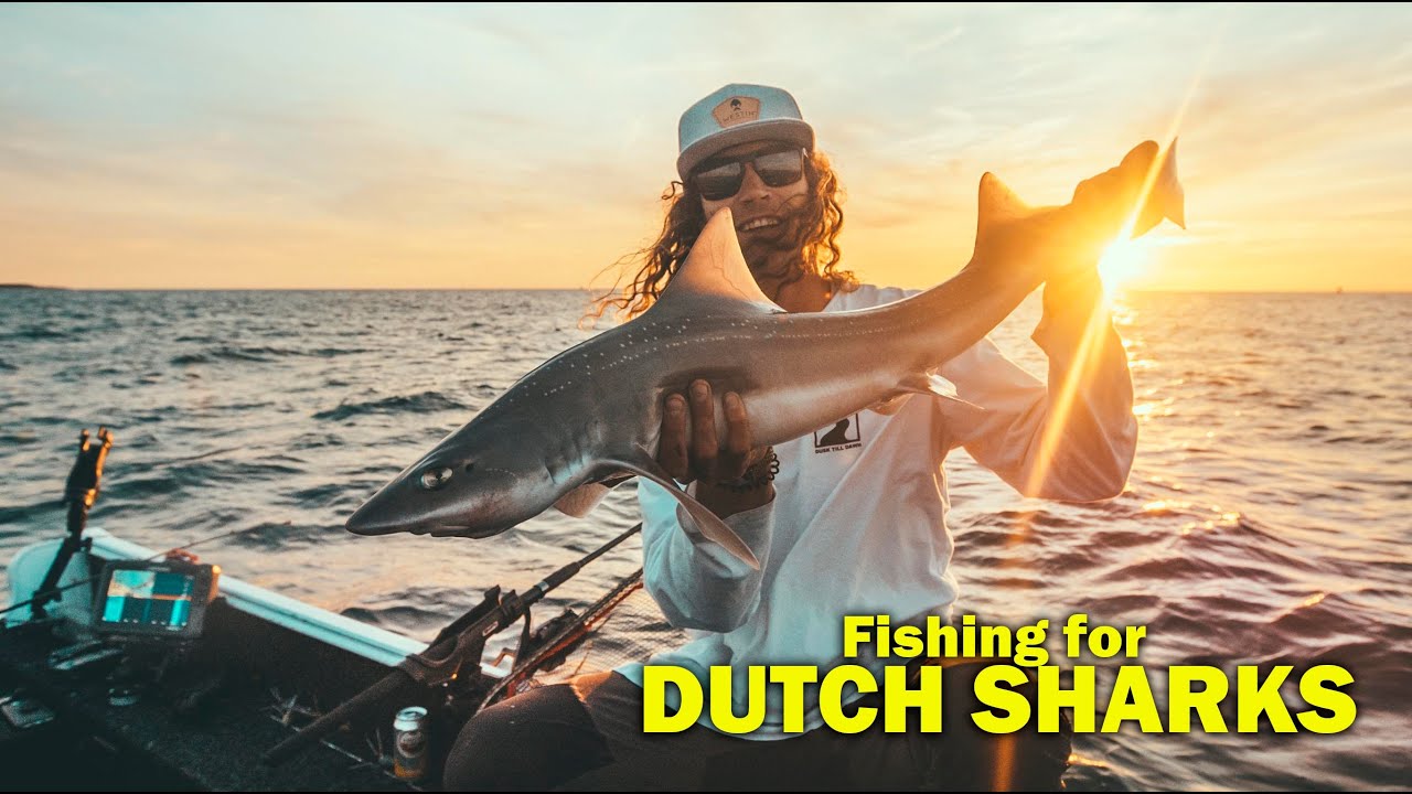 Dusk till Dawn Fishing - Fishing for DUTCH SHARKS // Vissen op ...