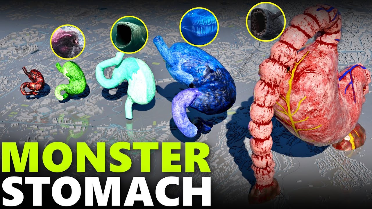 Monster Stomach Size Comparison 3D | BLOOP VS SEA EATER - YouTube