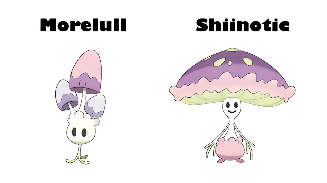 POKEMON EVOLUTION! WHAT IS POKEMON!? - YouTube