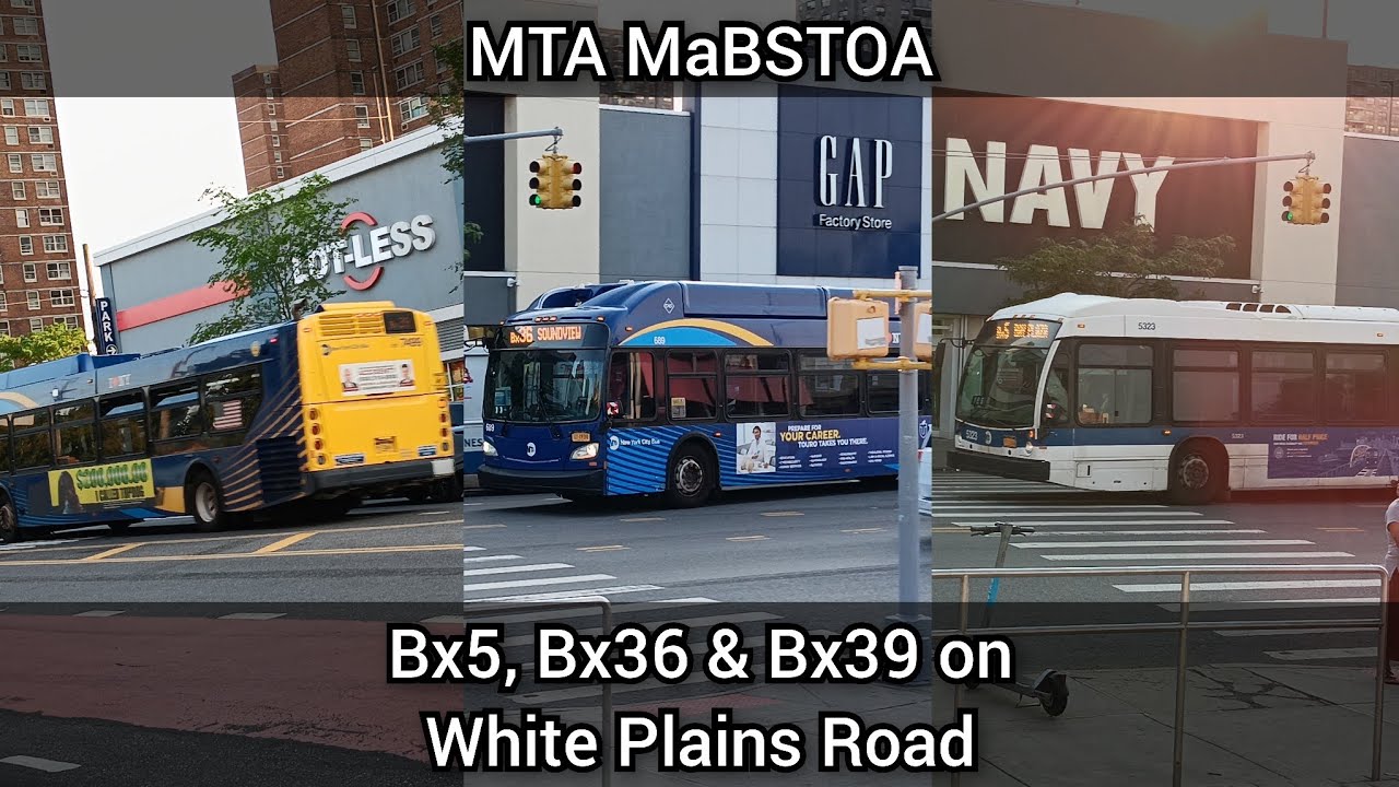 MTA: Bx5, Bx36 & Bx39 on White Plains Road - YouTube