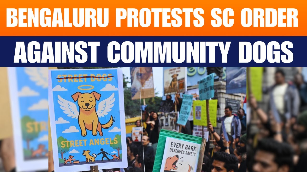 Bengaluru Protests SC Street Dog Removal Order | Animal Welfare Outcry ...