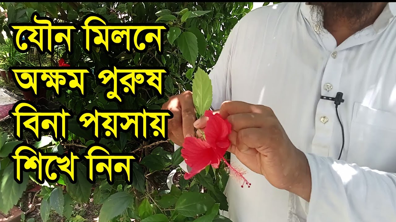 Learn about the beneficial jaba flower plant - YouTube