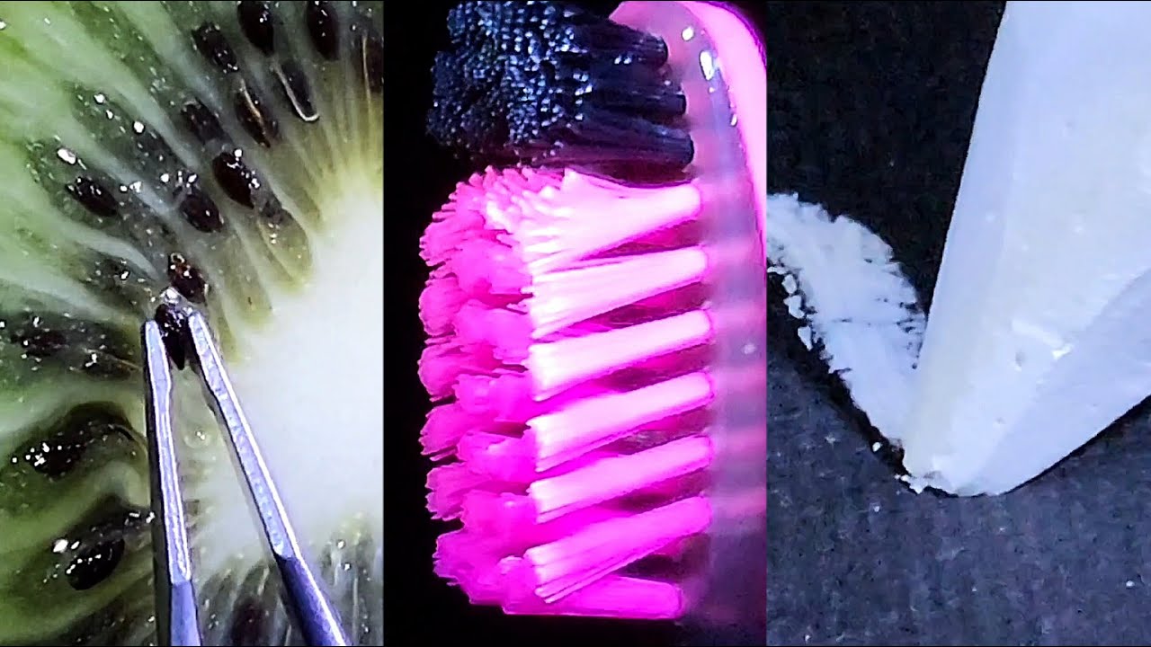 Epic Macro Madness: Unlikely Objects Unleashed! 🌀🔍 - YouTube