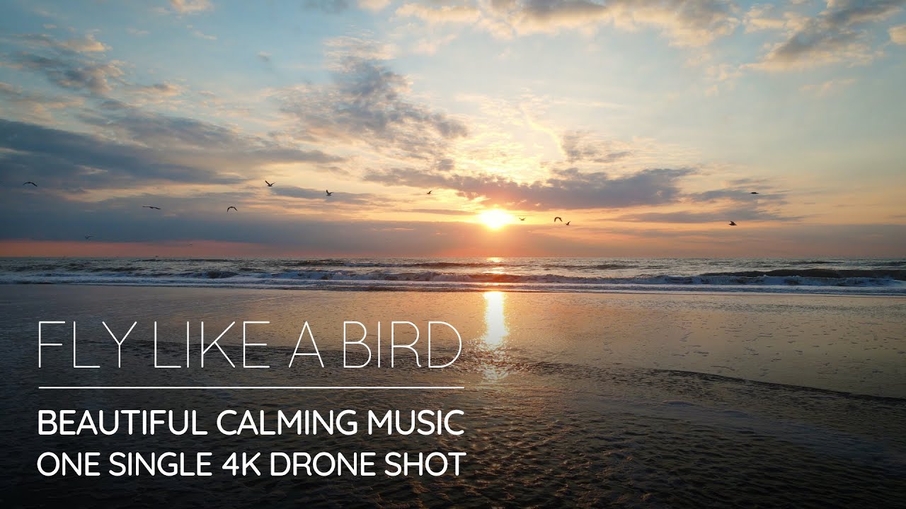 Fly Like A Bird - Beautiful Calming Music - One Single 4K Drone Shot ...