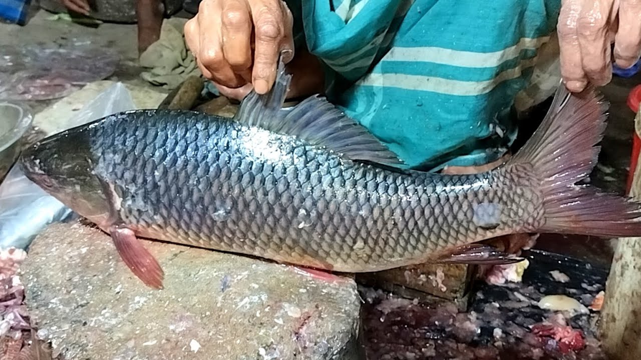 rohu fish cutting video||boneless rohu fish cutting||amazing fish ...