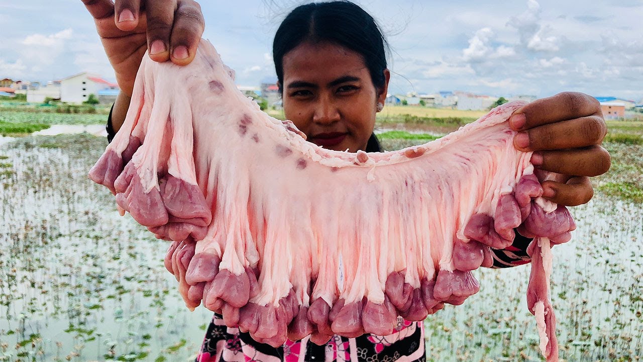 Yummy Cooking Intestine Pork with Prohok Sauce Chili Recipe and Fresh ...