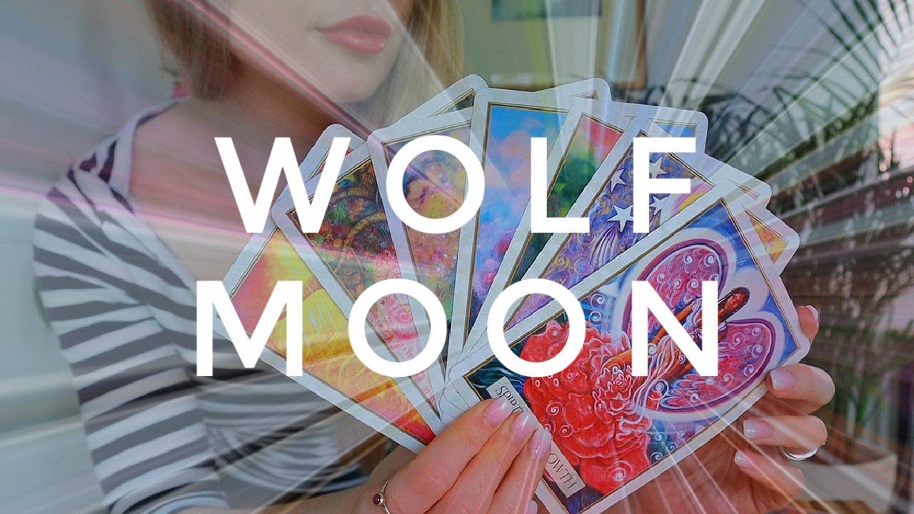 WOLF MOON Pick a Card / Full Moon Messages / February Predictions Pick ...