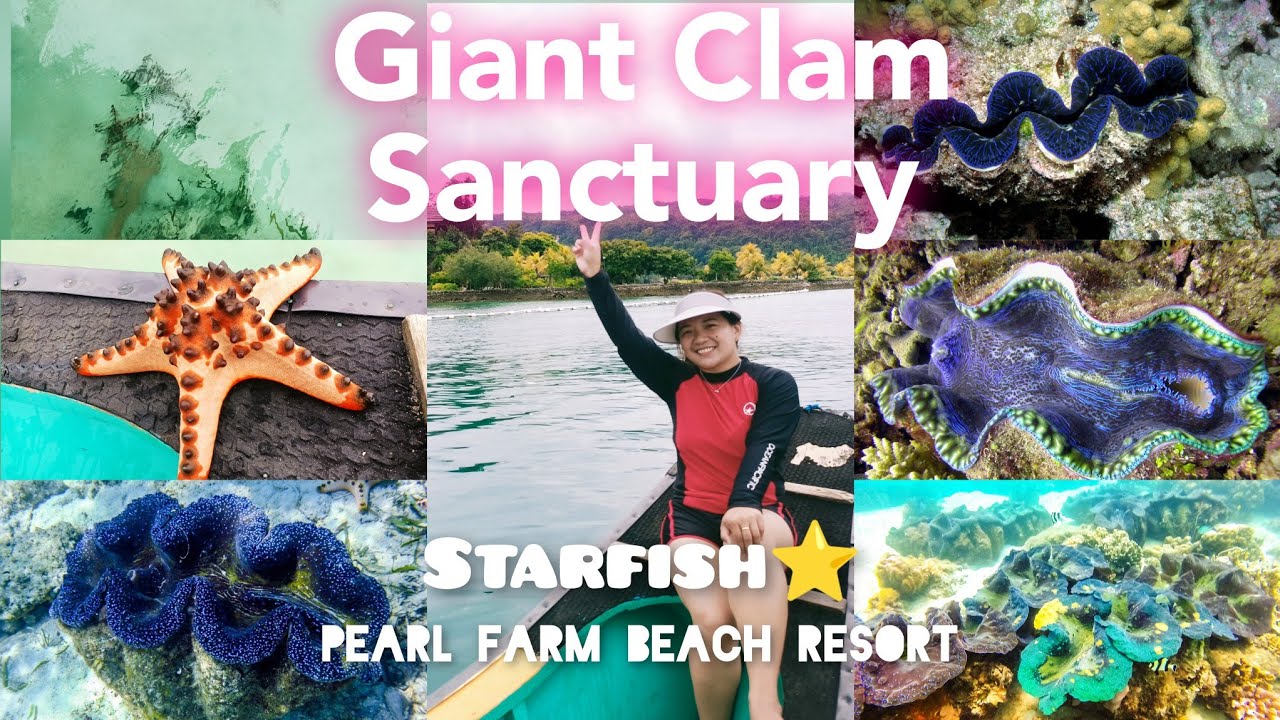 Boat Ride to the GIANT CLAM SANCTUARY | Samal Island, Davao Del Norte ...