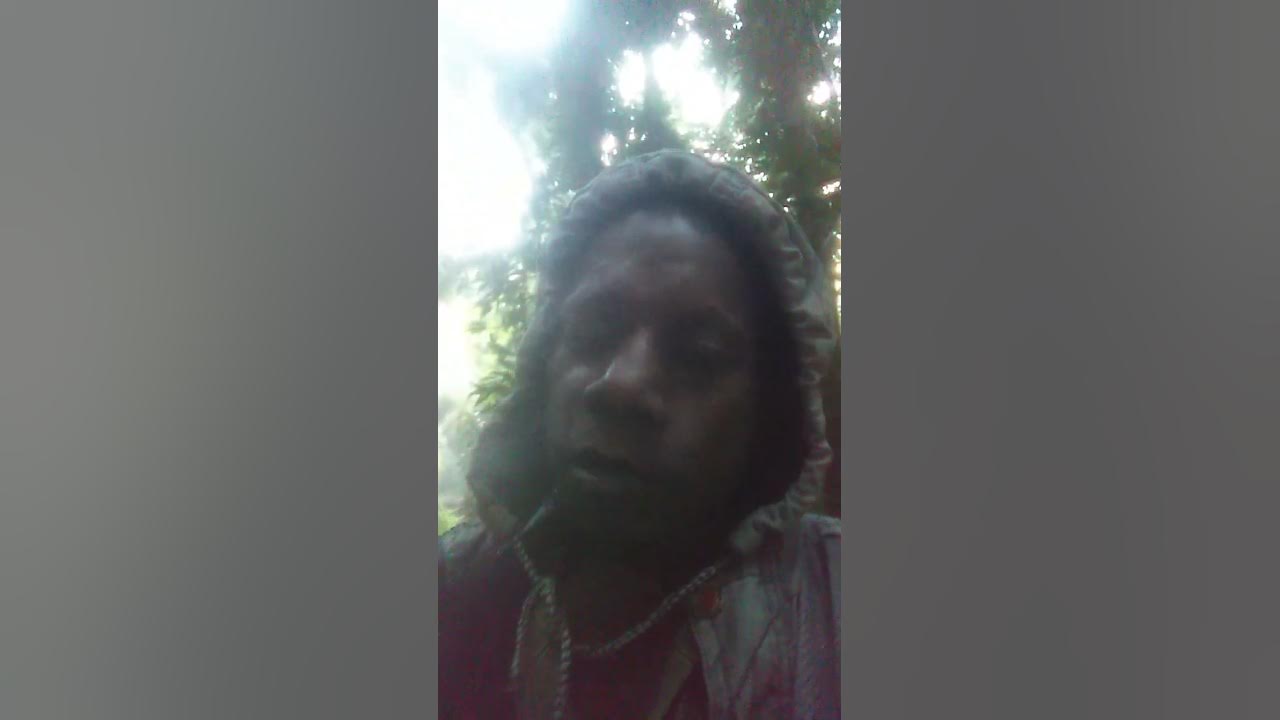 27 November 2024 - YouTube