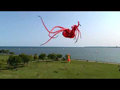 Flying above Milwaukee Kites - YouTube